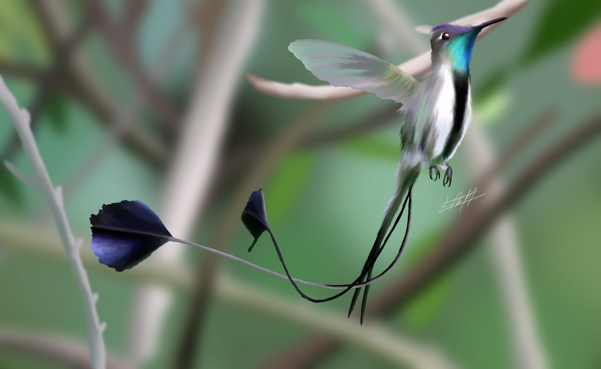 ArtStation - Picaflor cola de espatula