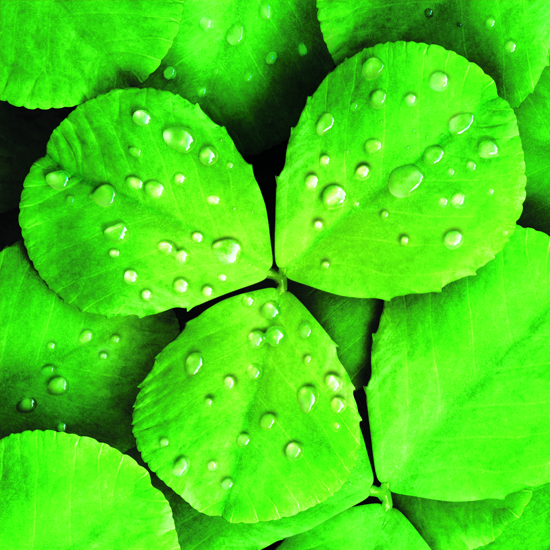 Richard Watkins - CGI Illustration work