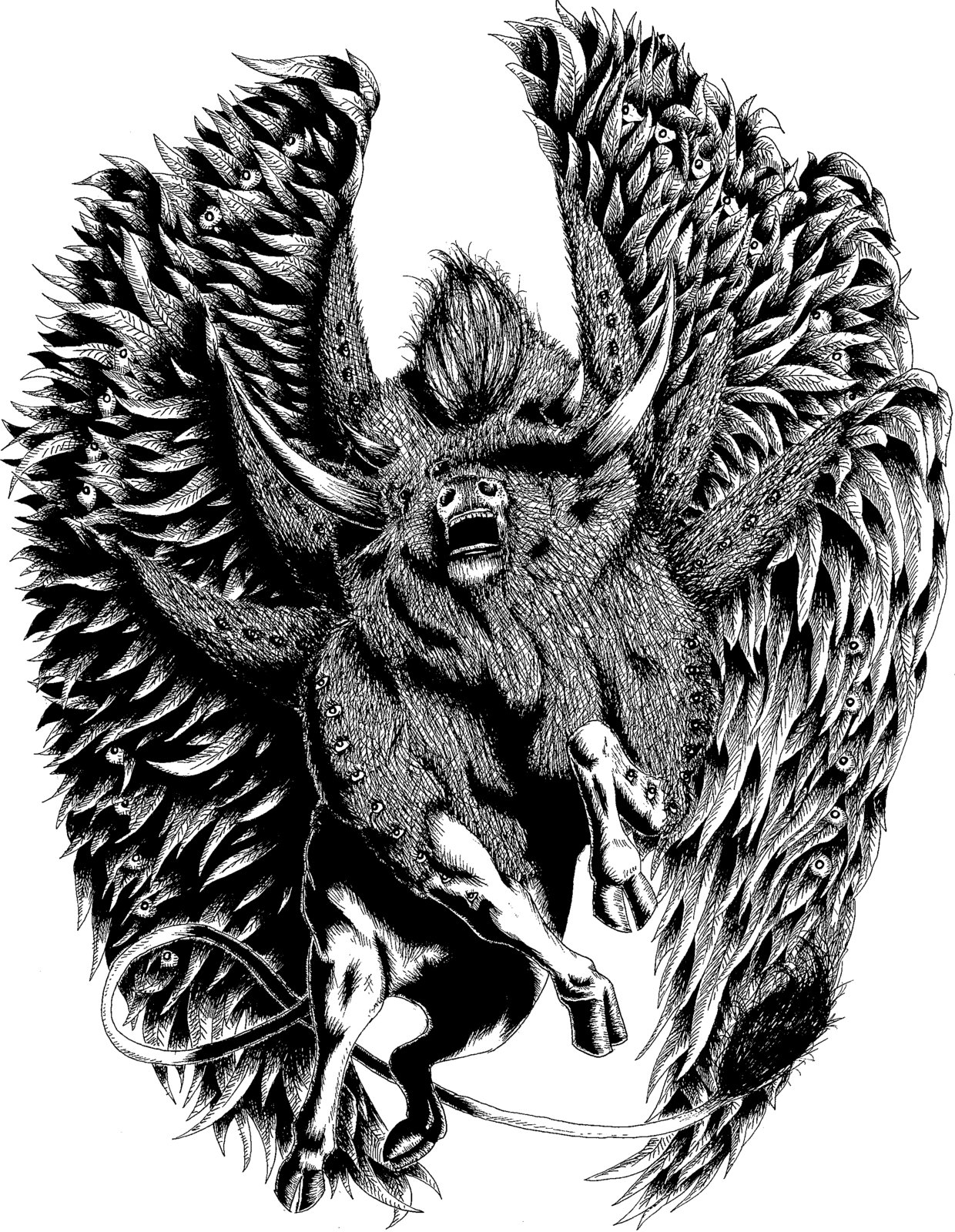 Shawn Walrus - The Living Creatures