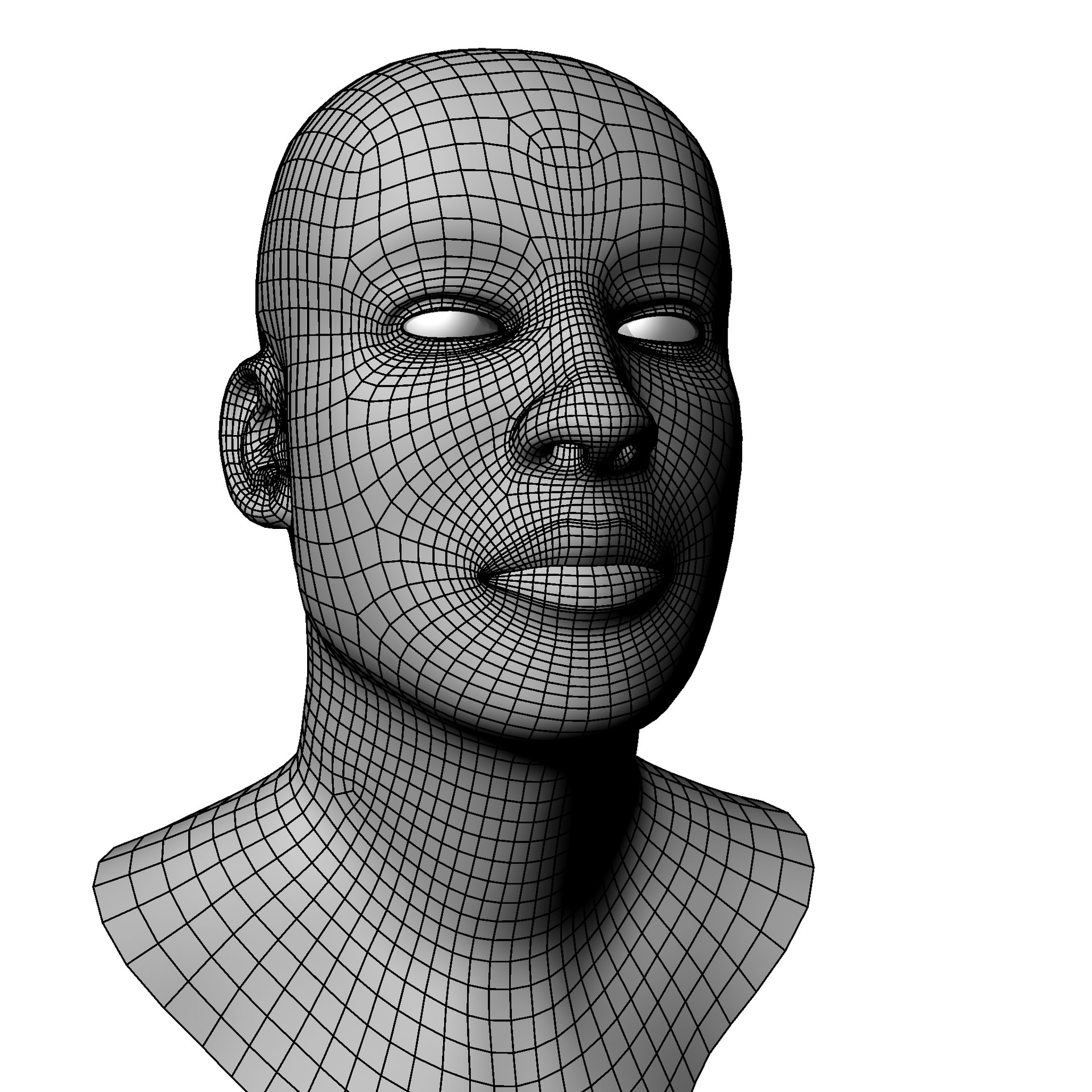 human face wireframe