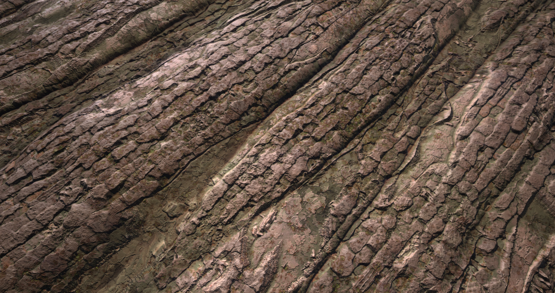 Sebastian Schade - Substance - Tree Bark 1