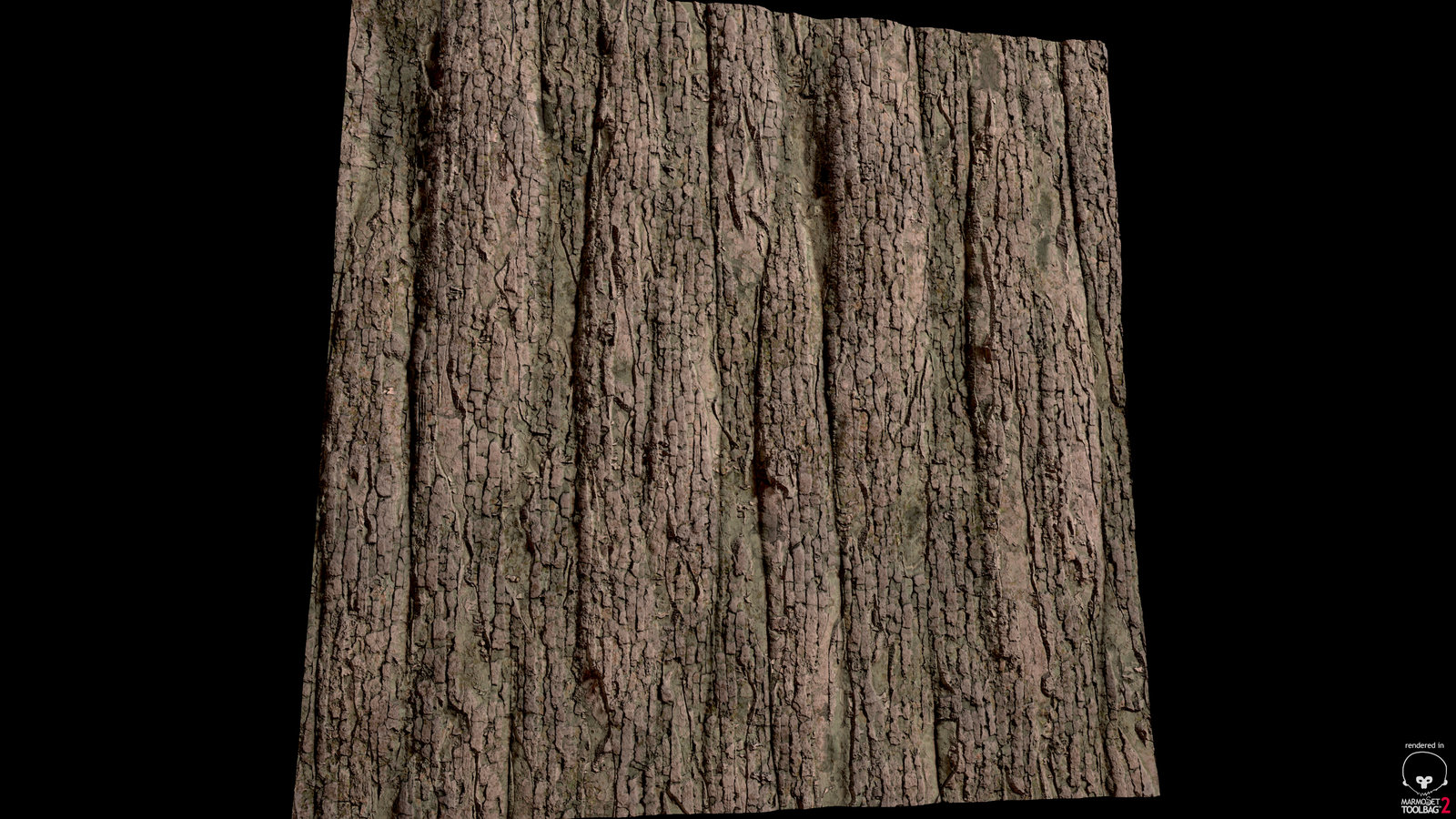 Sebastian Schade - Substance - Tree Bark 1