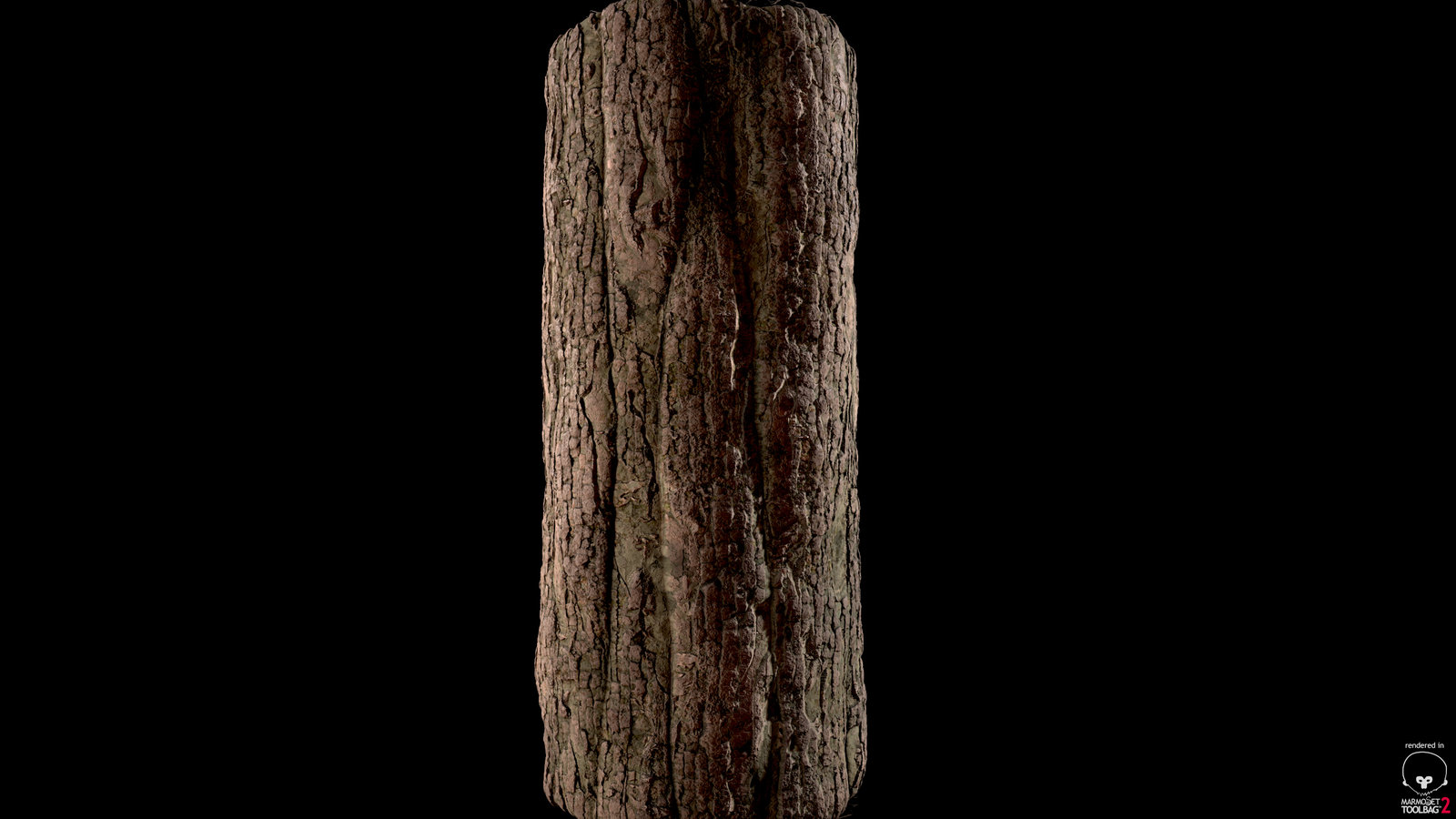 Sebastian Schade - Substance - Tree Bark 1