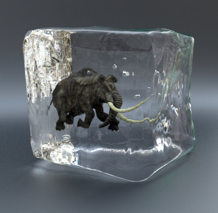 Alessandro Mastronardi - Mammoth trapped in ice cube