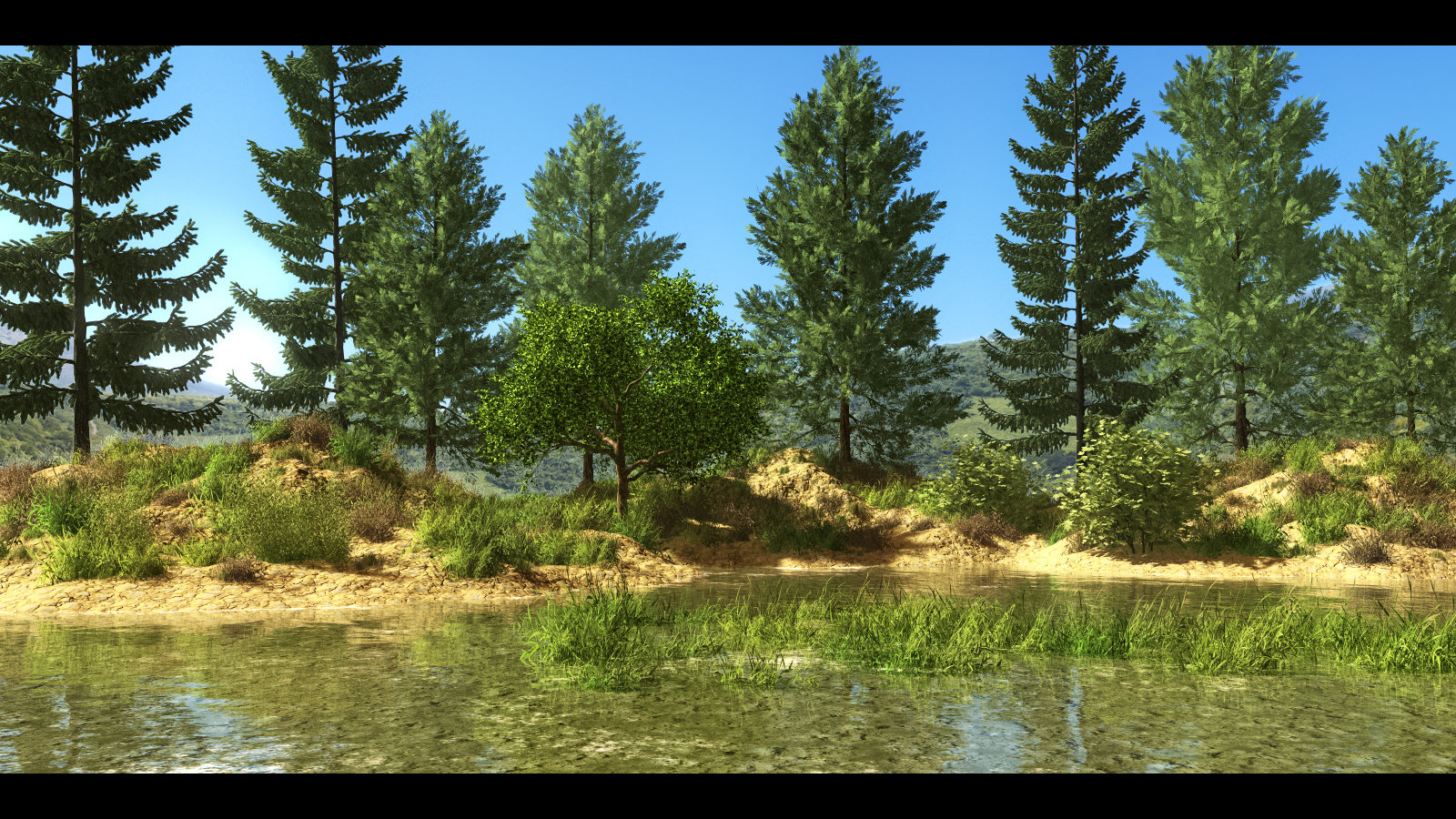 Dragan Maric - Mountain silence