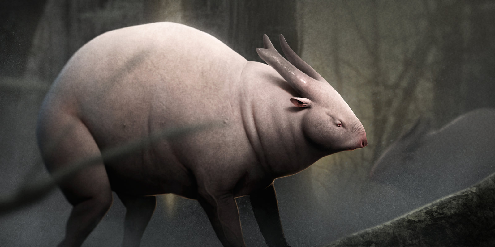 Roberto Padula - Forest Dweller