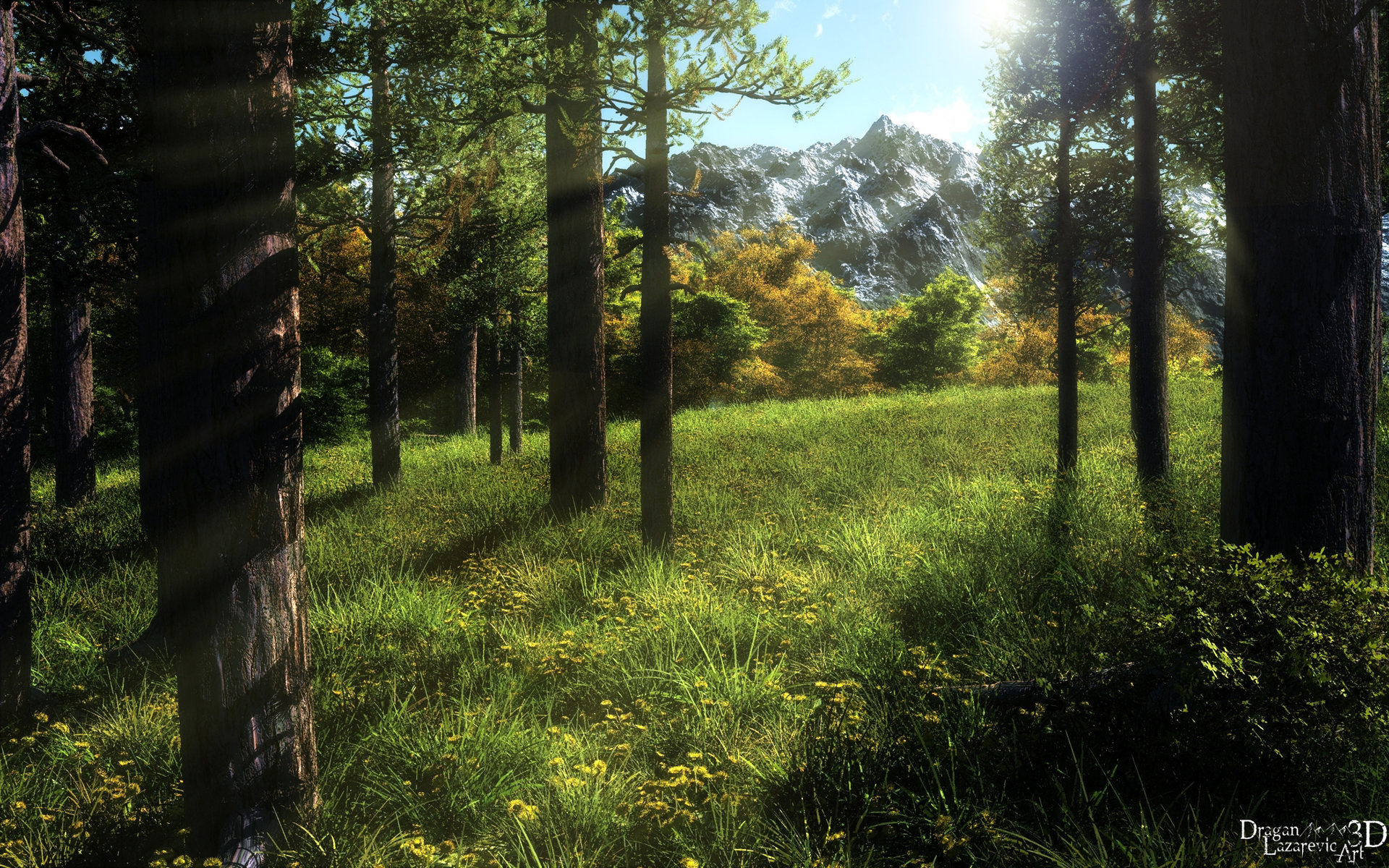 ArtStation - Morning Forest