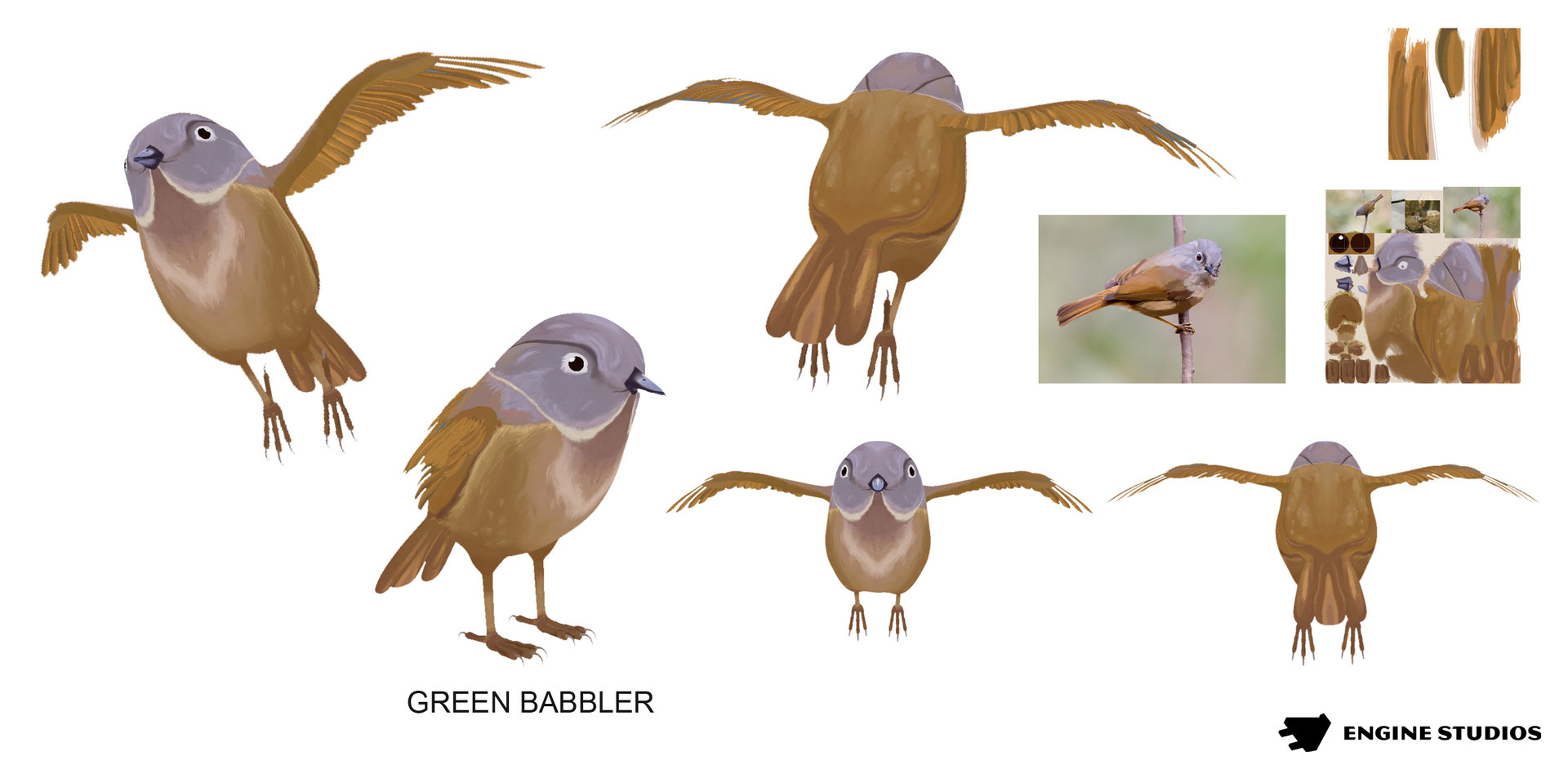 ArtStation - Bird Showcase