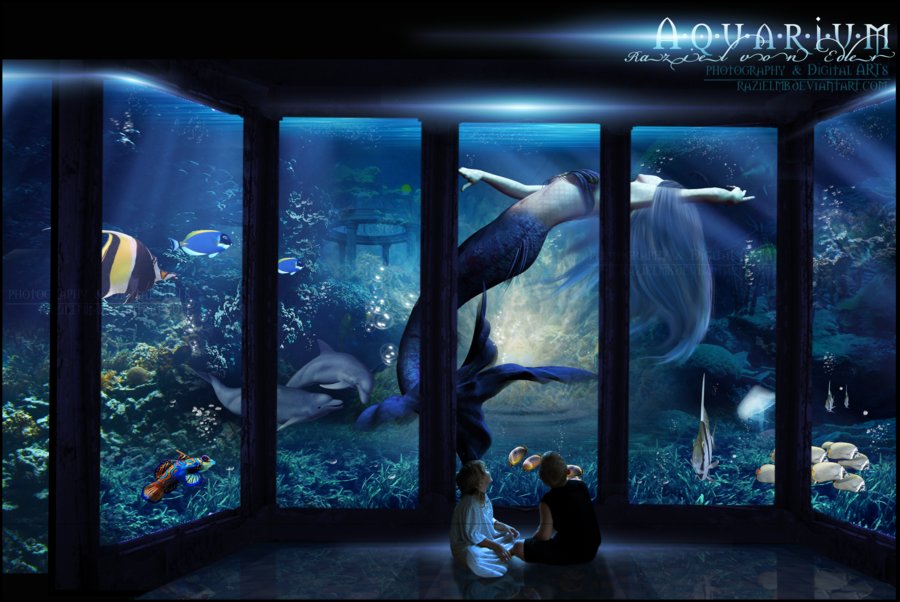 ArtStation - Aquarium