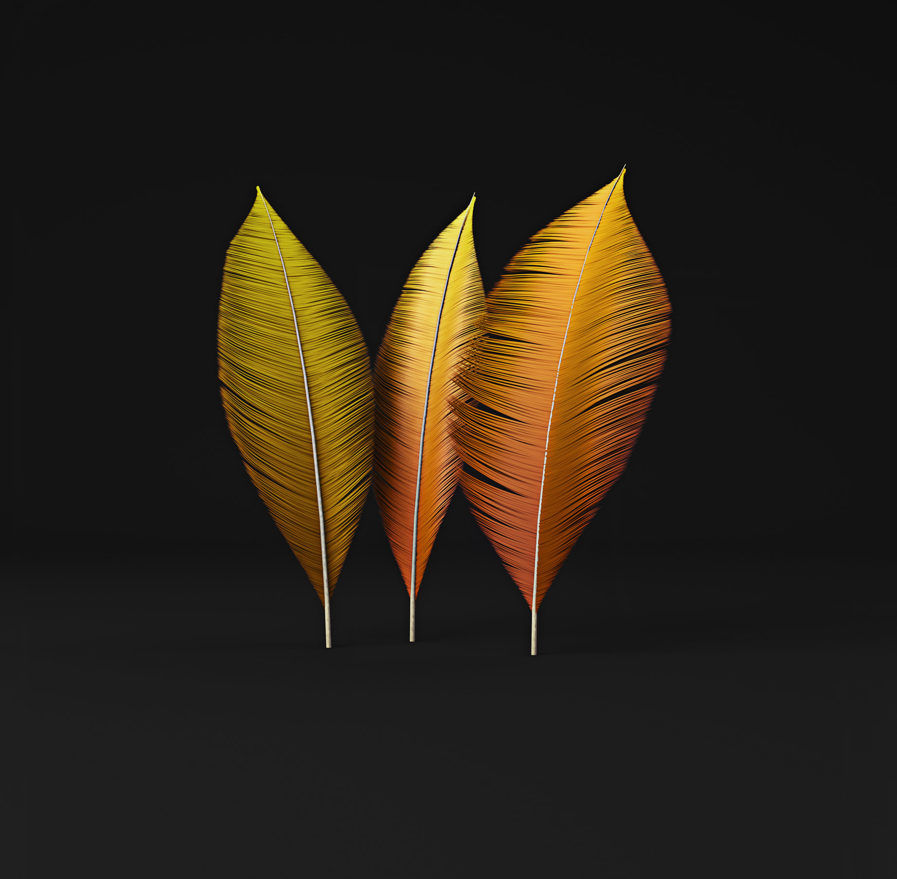 ArtStation - Feather