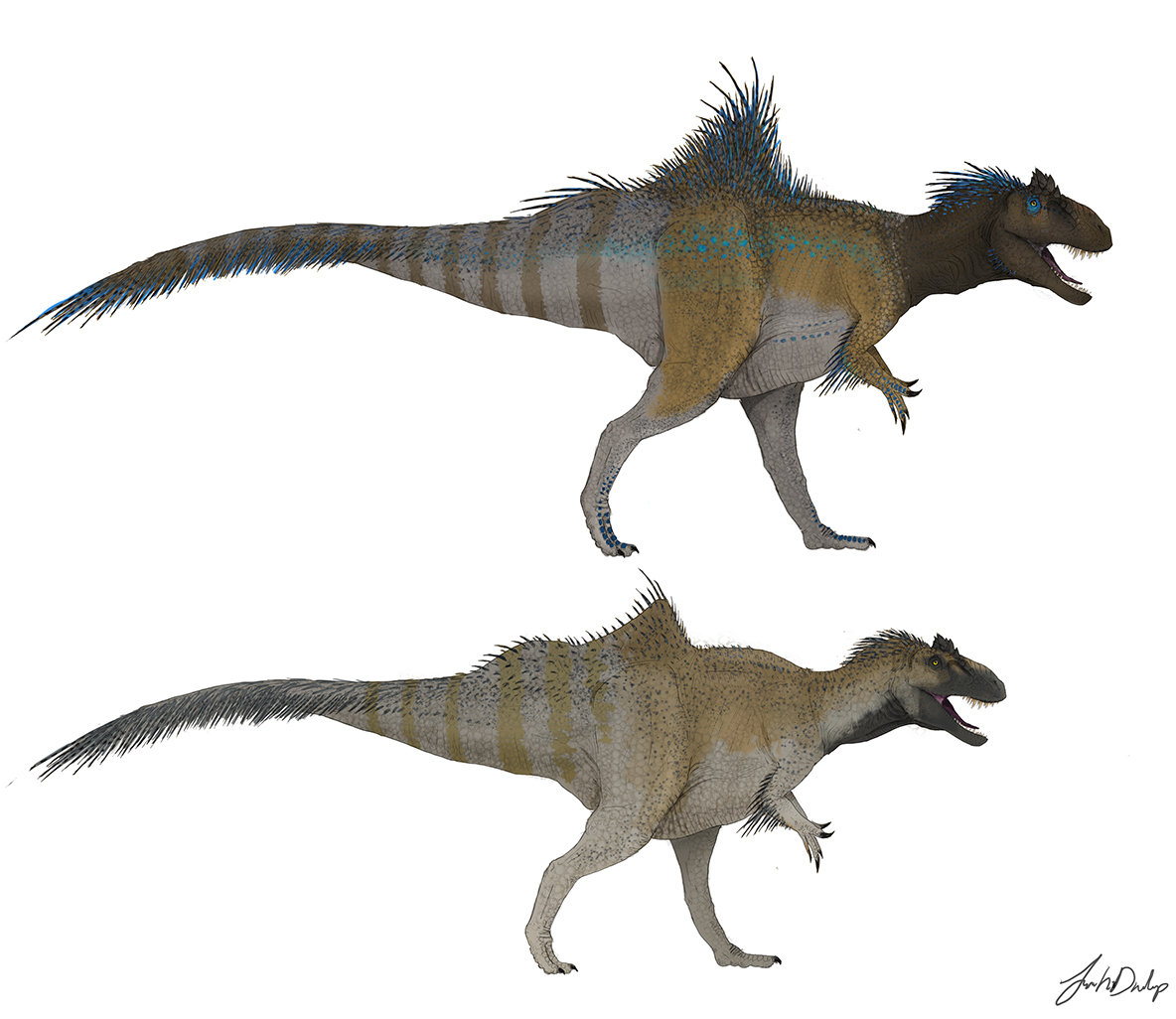 Joshua Dunlop - Concavenator Development