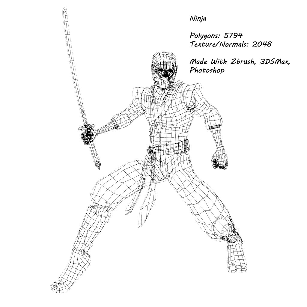 Will Ehrendreich - Ninja - 2011 - Immediately after Pillar 4 Entertainment