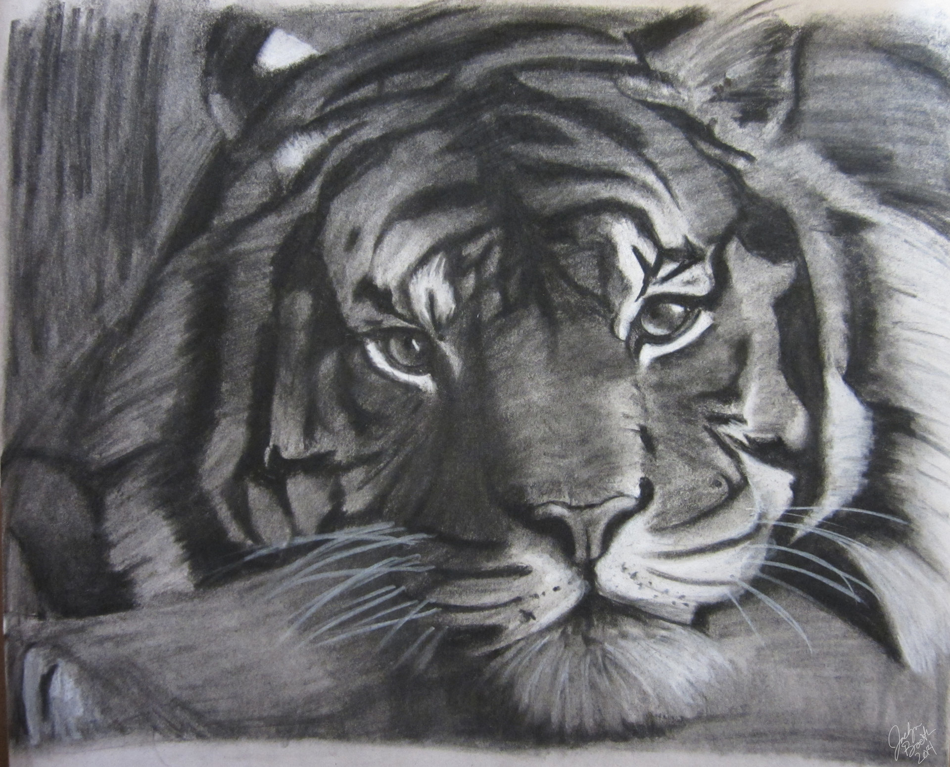ArtStation - Charcoal Tiger