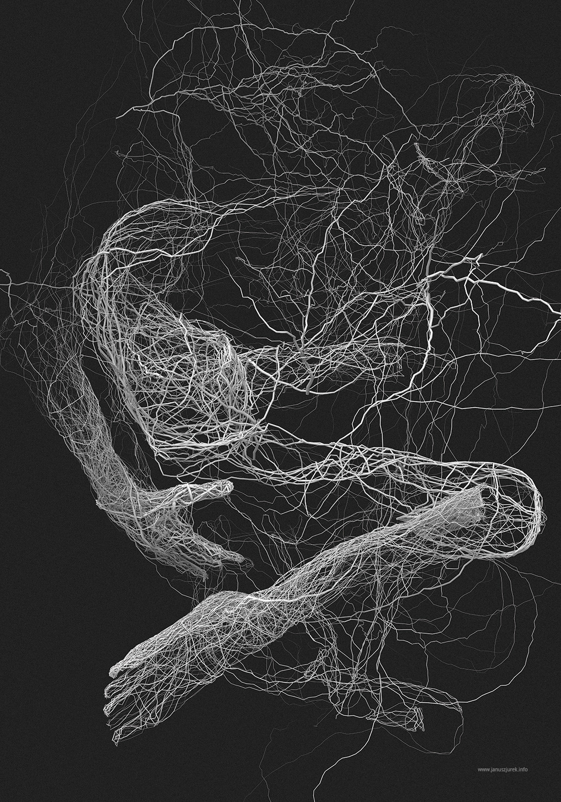 Janusz Jurek - Papilarnie III