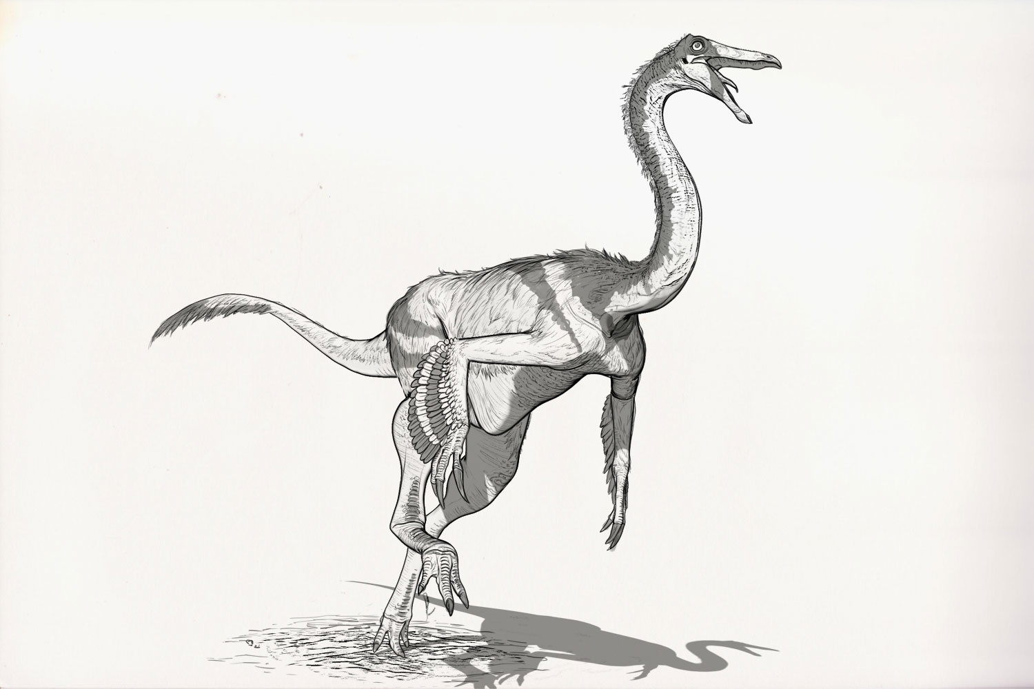 ArtStation - Draw Dinovember Day 8 Gallimimus