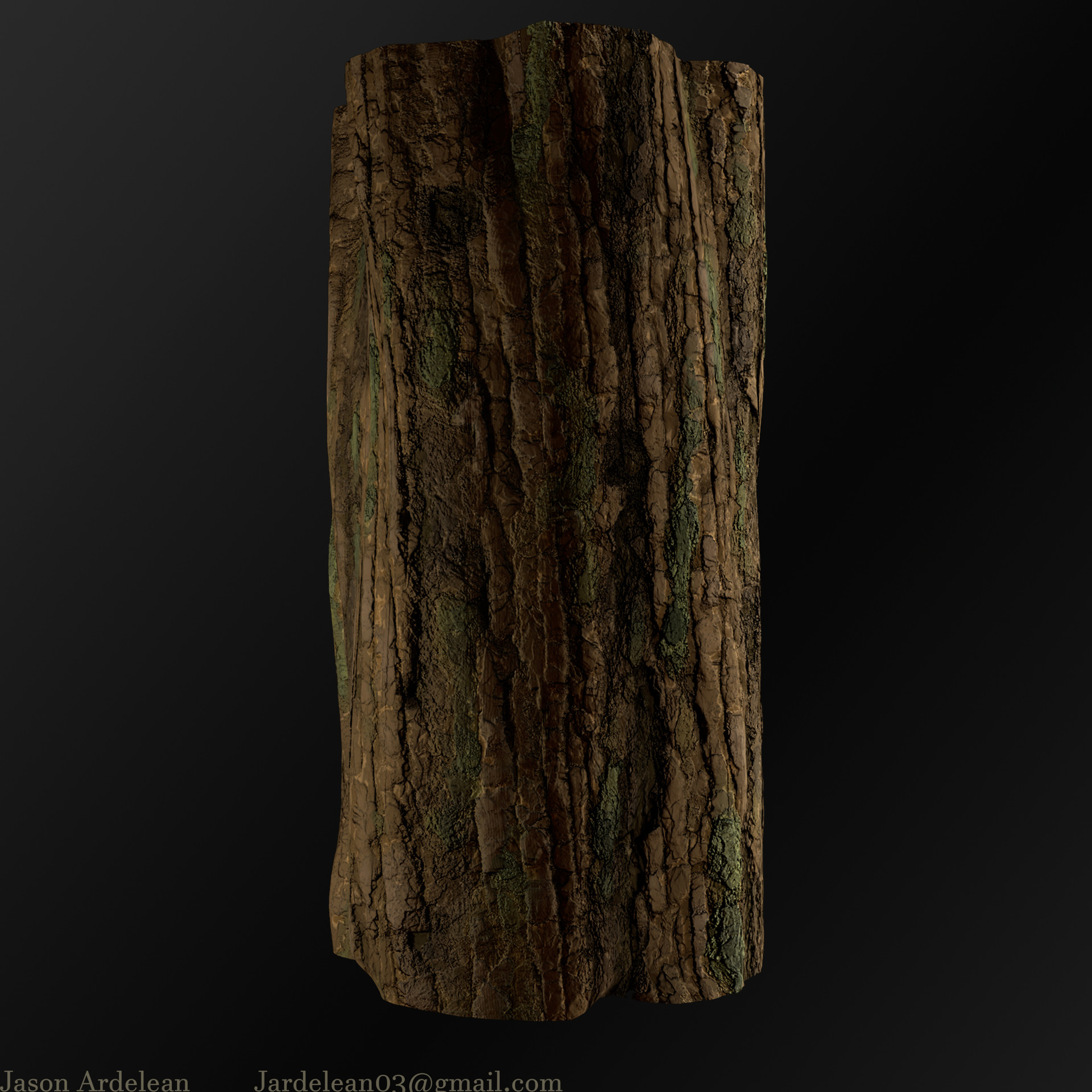 ArtStation - Rotting Tree Bark
