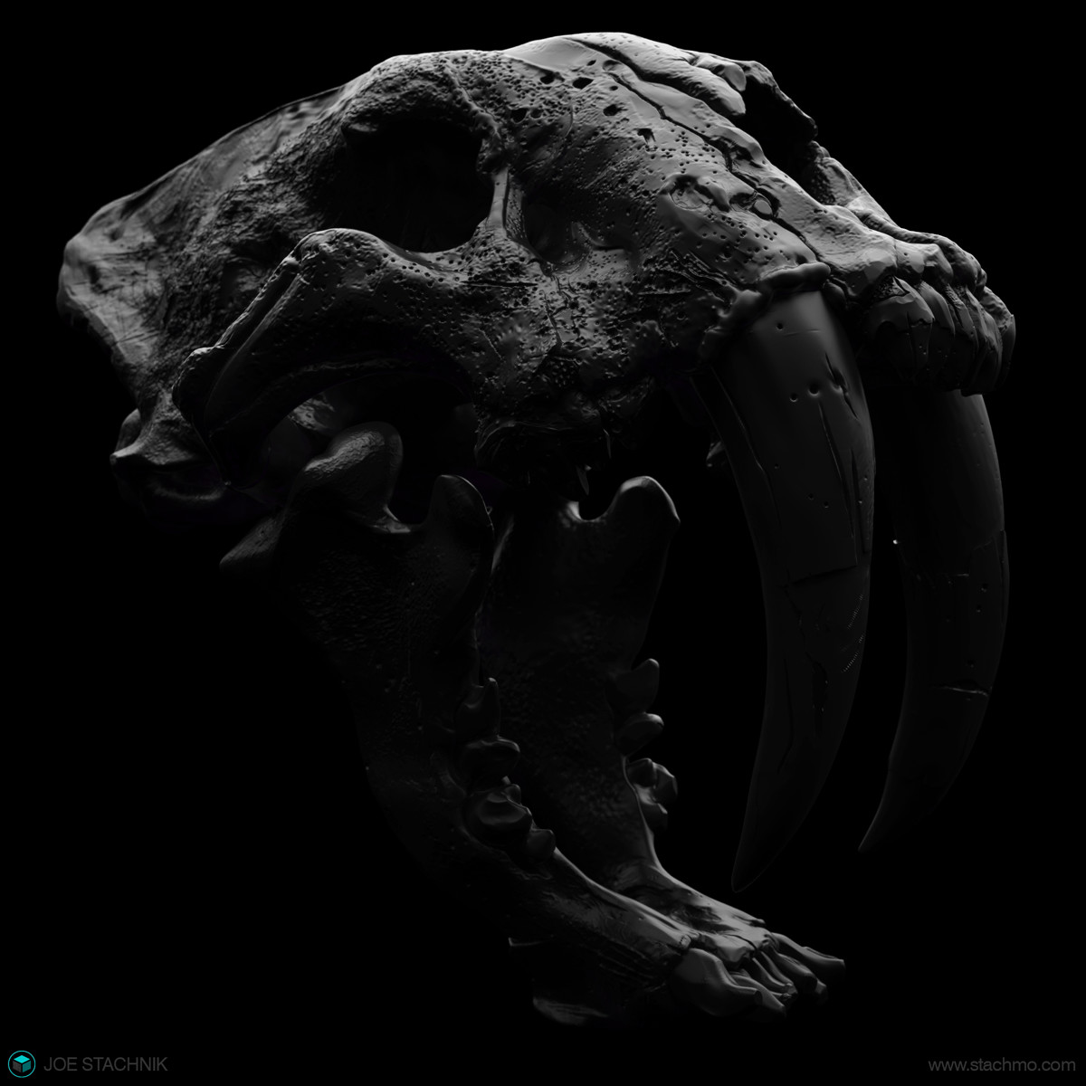 Joe Stachnik (Stachmo) - Sabertooth Skull