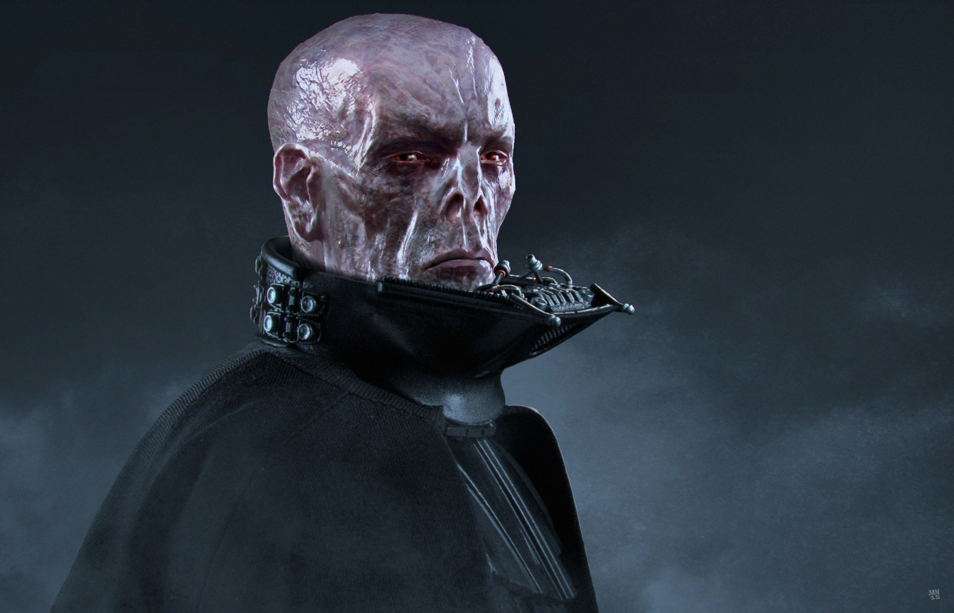 Darth Vader Without Mask Art