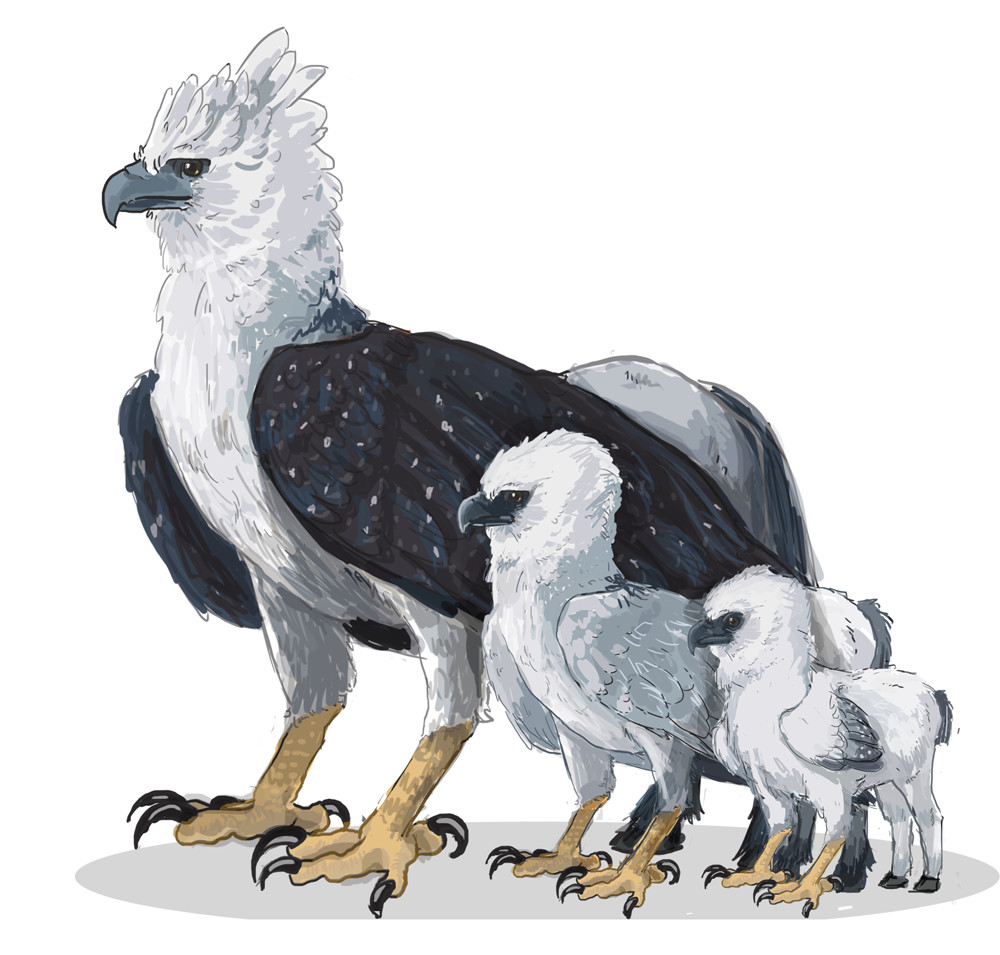 ArtStation - Hipogriff