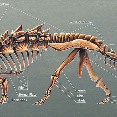 microraptor gui skeleton