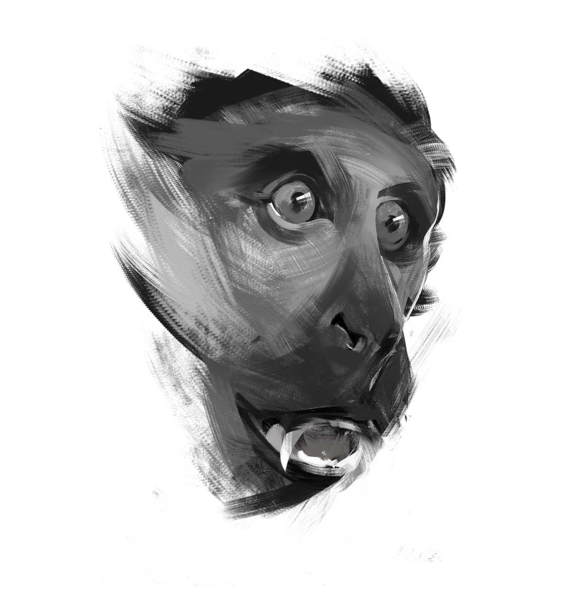 ArtStation - Monkey studies