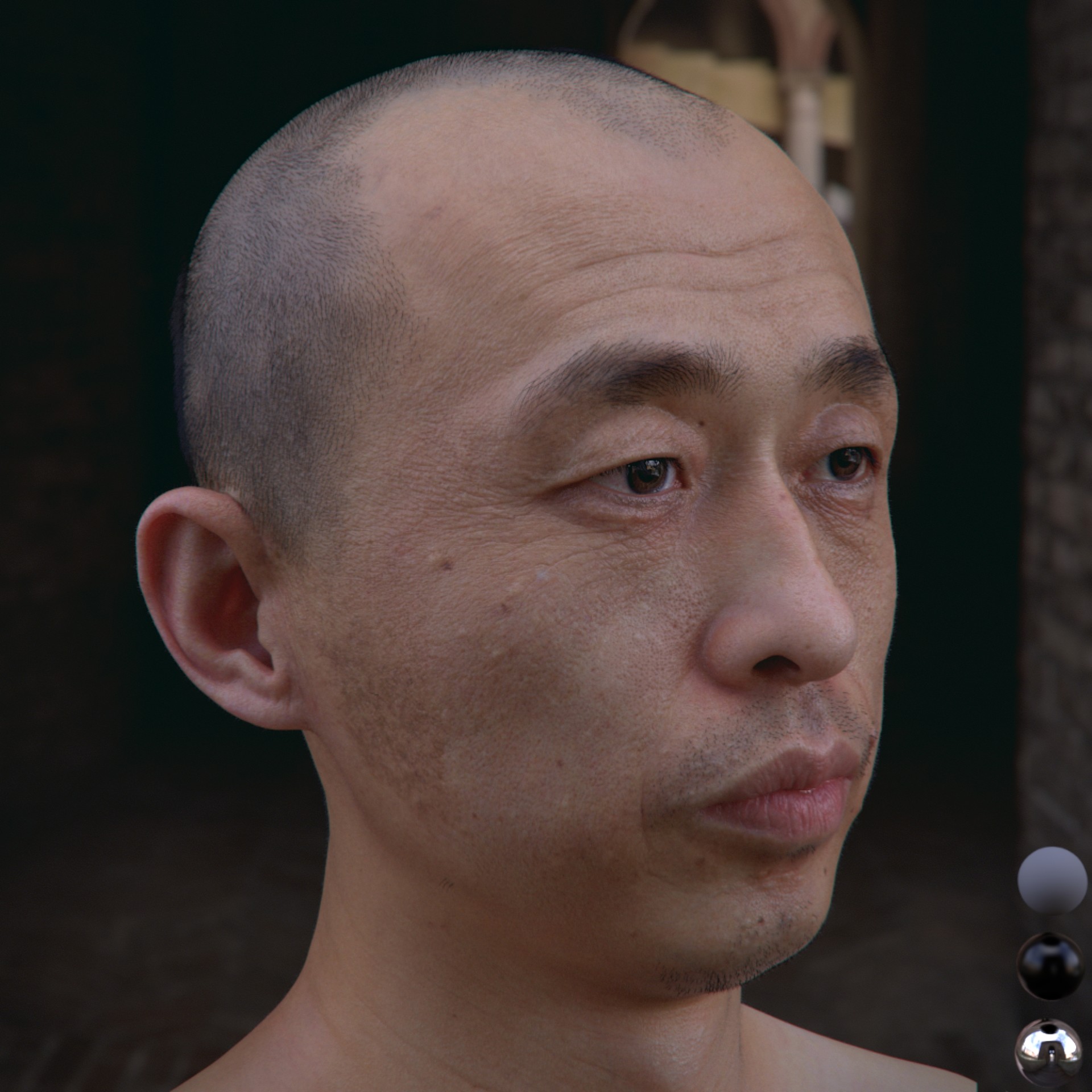 Hang Li - Realistic human head study