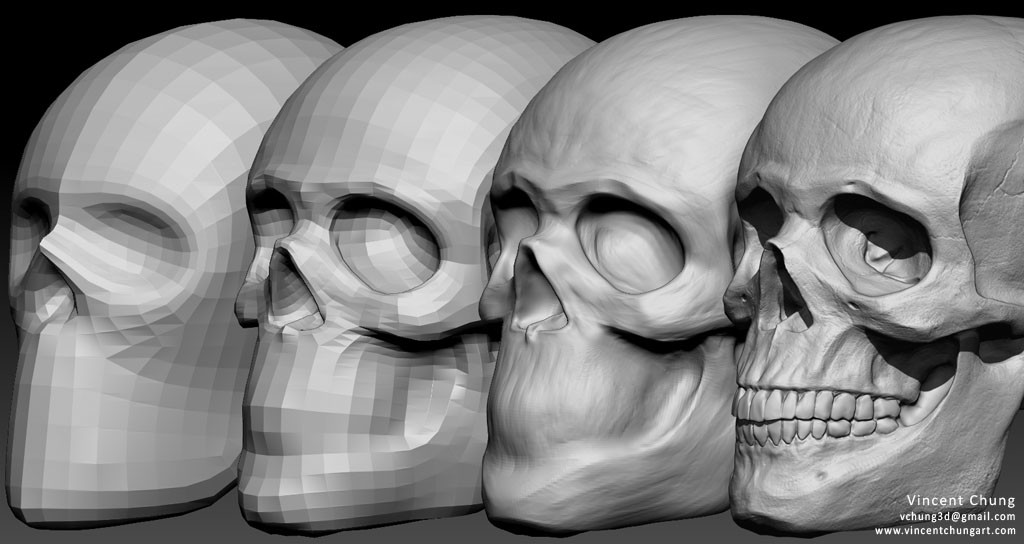 Vincent Chung - Human Skull Study - Life Demo to 3D Print
