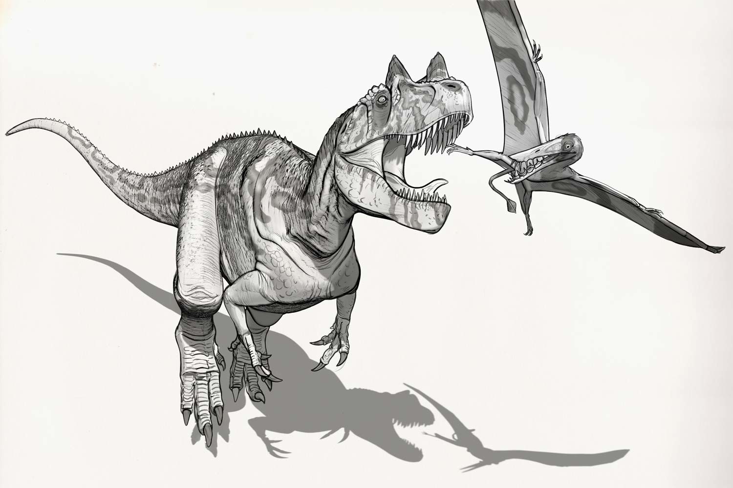 ArtStation - Draw Dinovember Day 26 Ceratosaurus