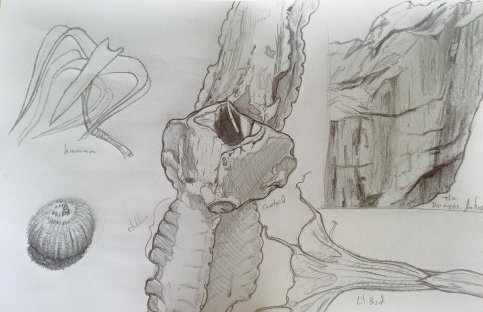 Mark Grote - Studies