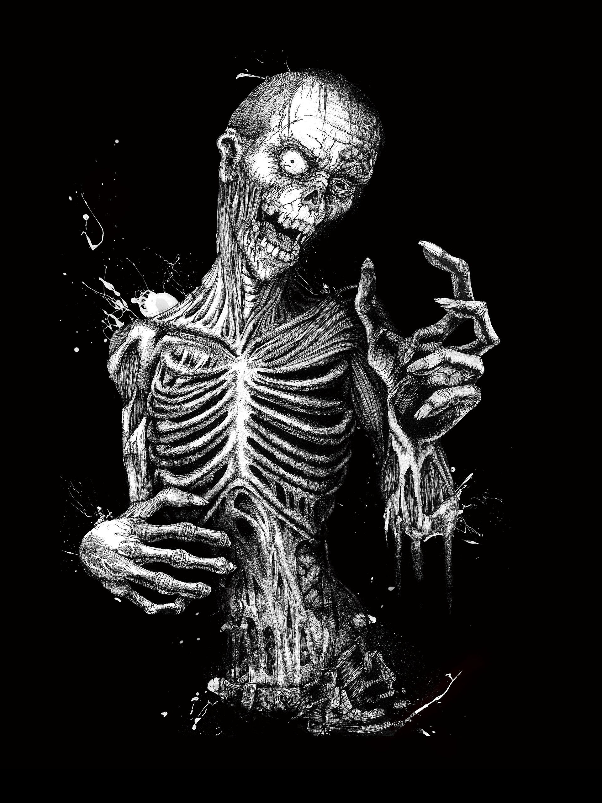 zombie skeleton drawing