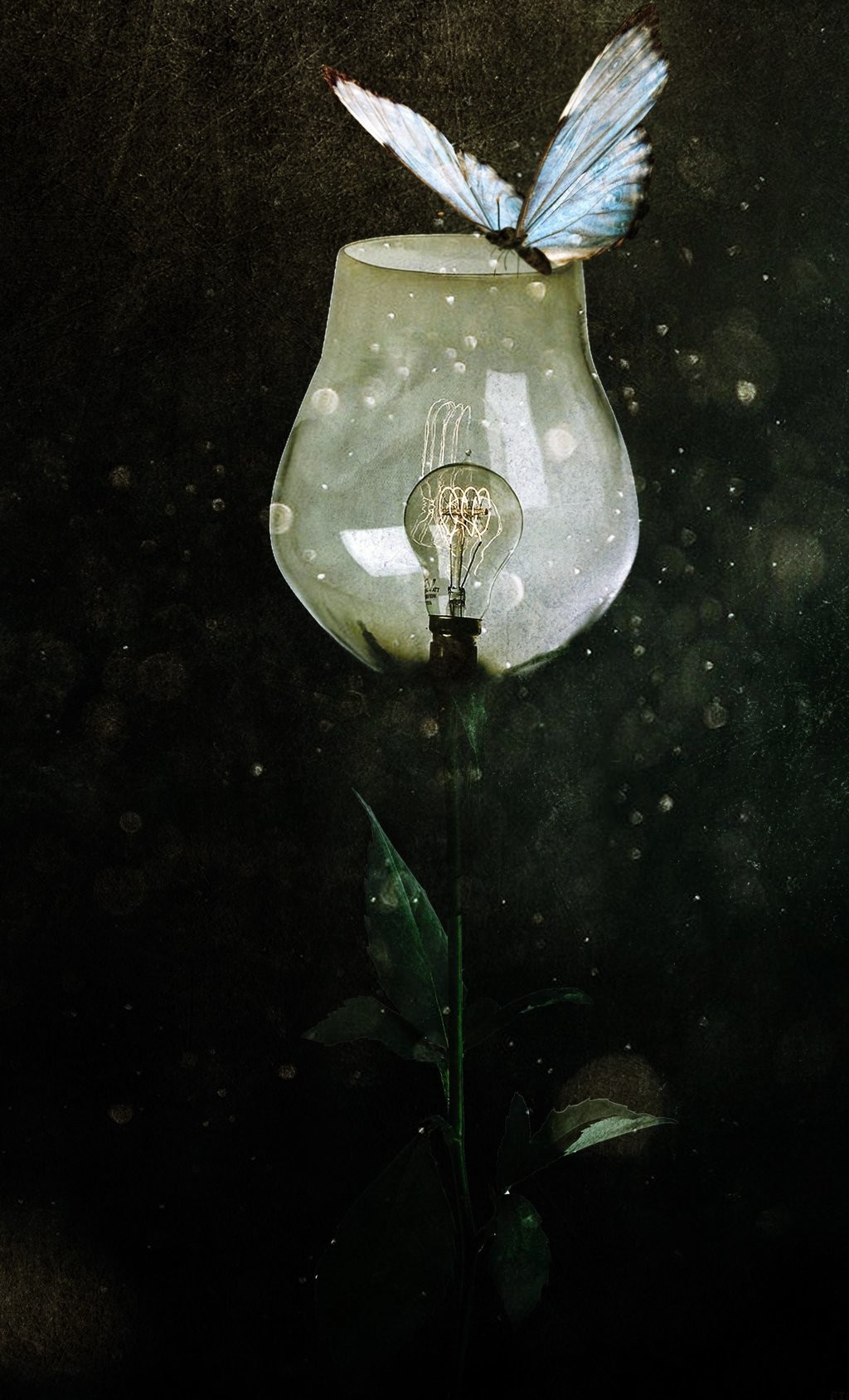 ArtStation - Glass Rose