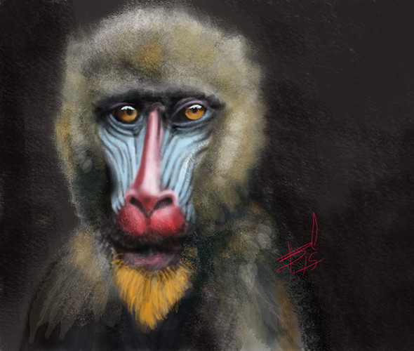 ArtStation - Mandrill
