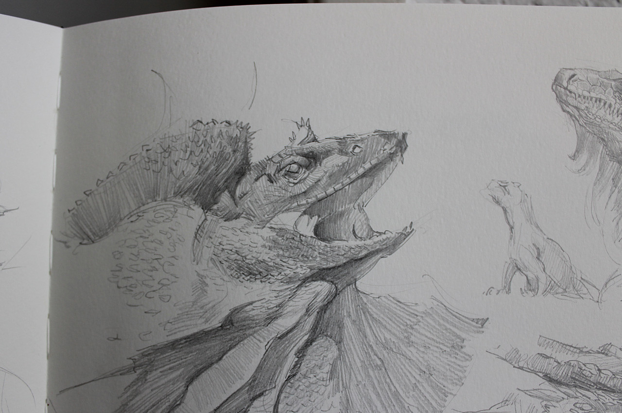 ArtStation - Animal Sketch - Lizard