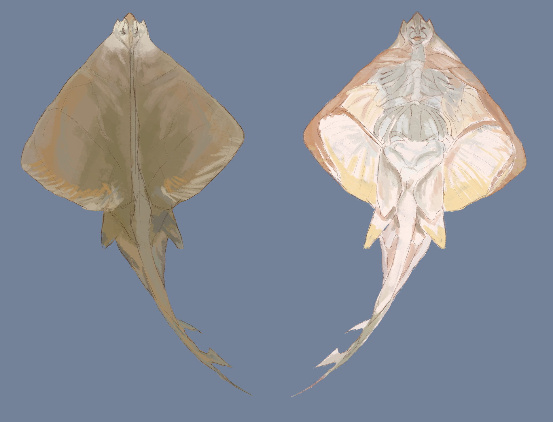 ArtStation - Stingray and human combined