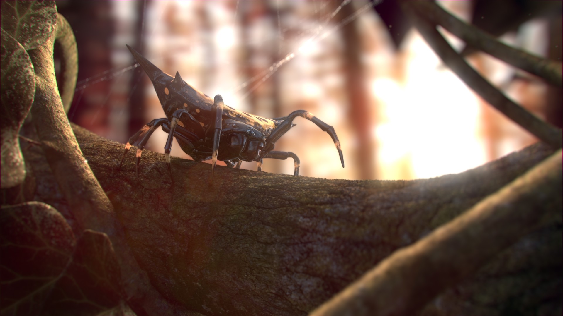 ArtStation - Gasteracantha cancriformis (Star Spider)