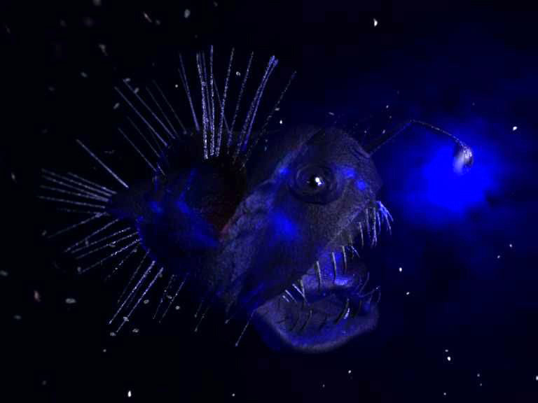 ArtStation - deep see angler fish