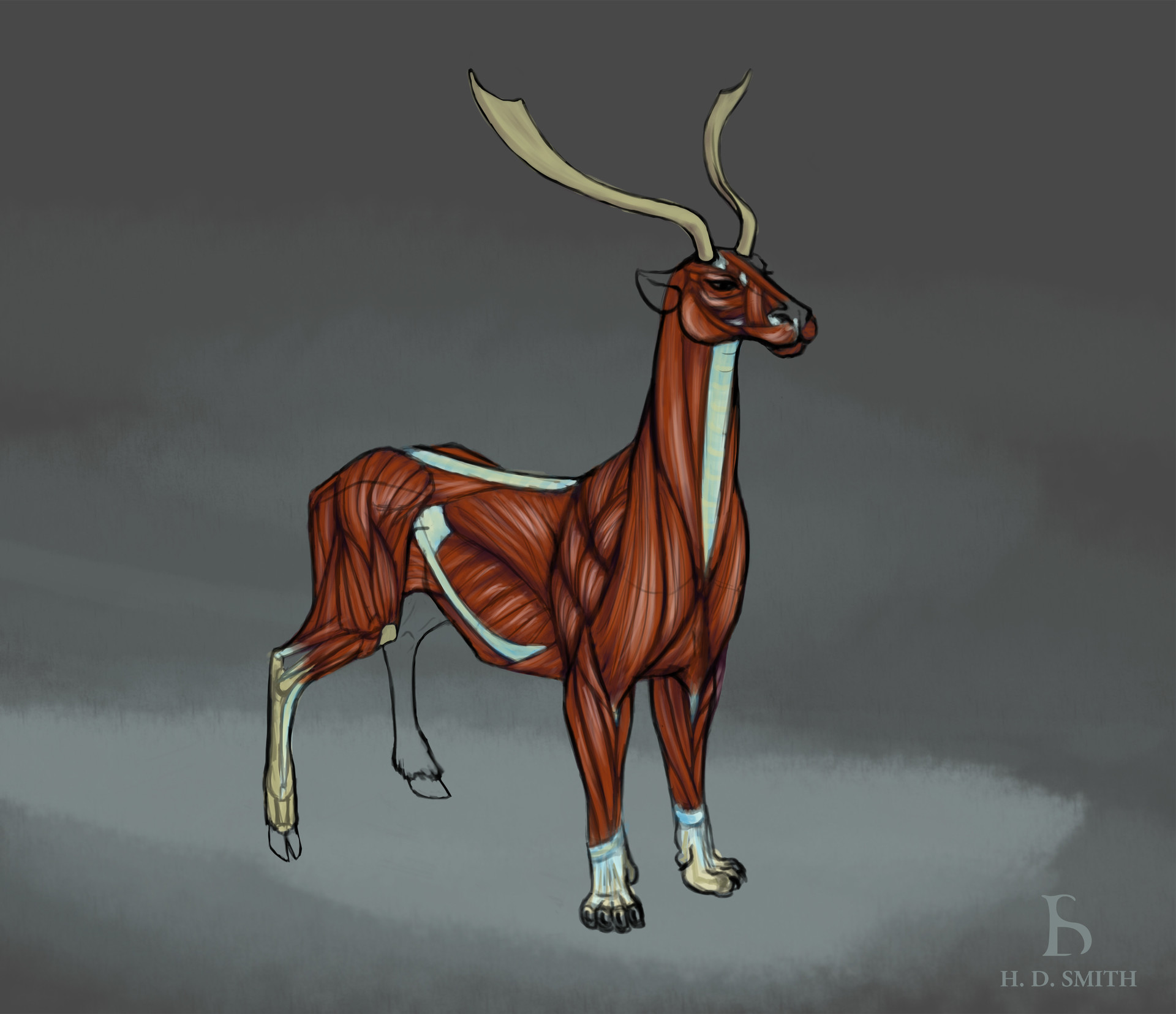 Deer Beast Of Burden