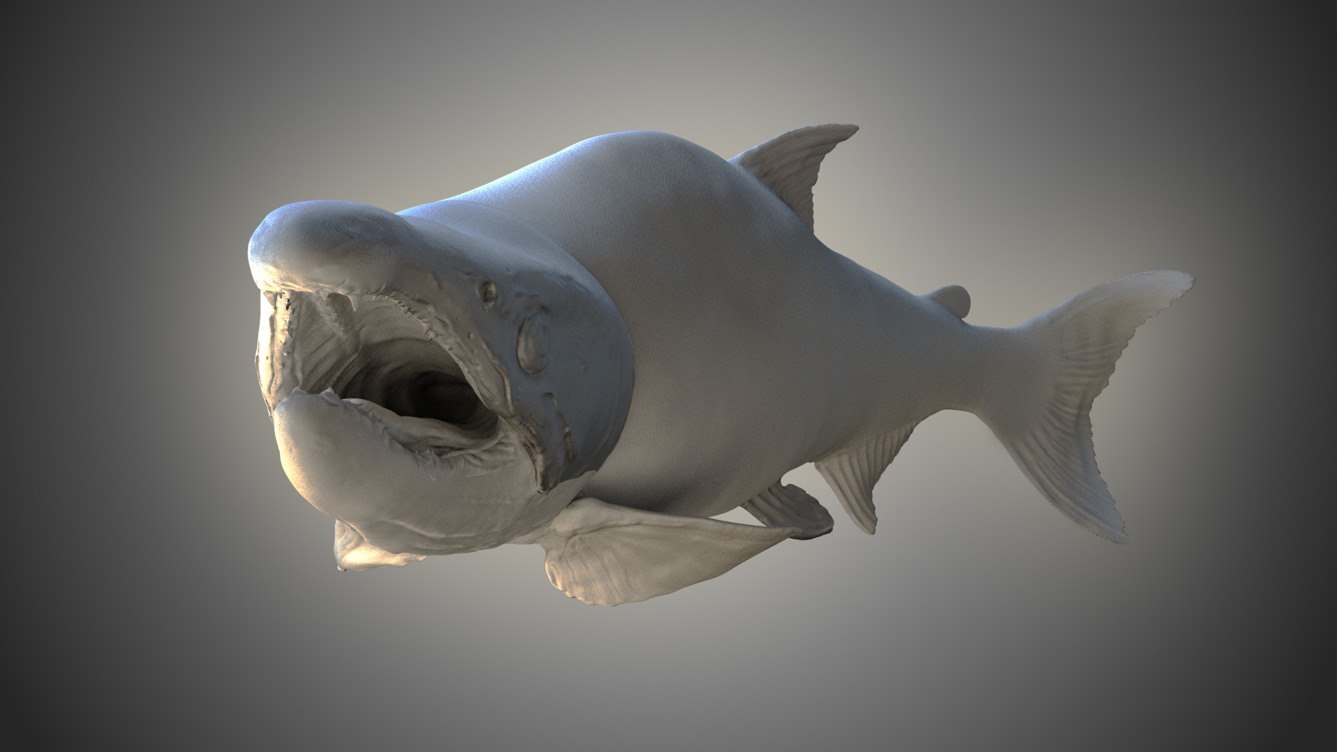 Milos Manojlovic - Salmon