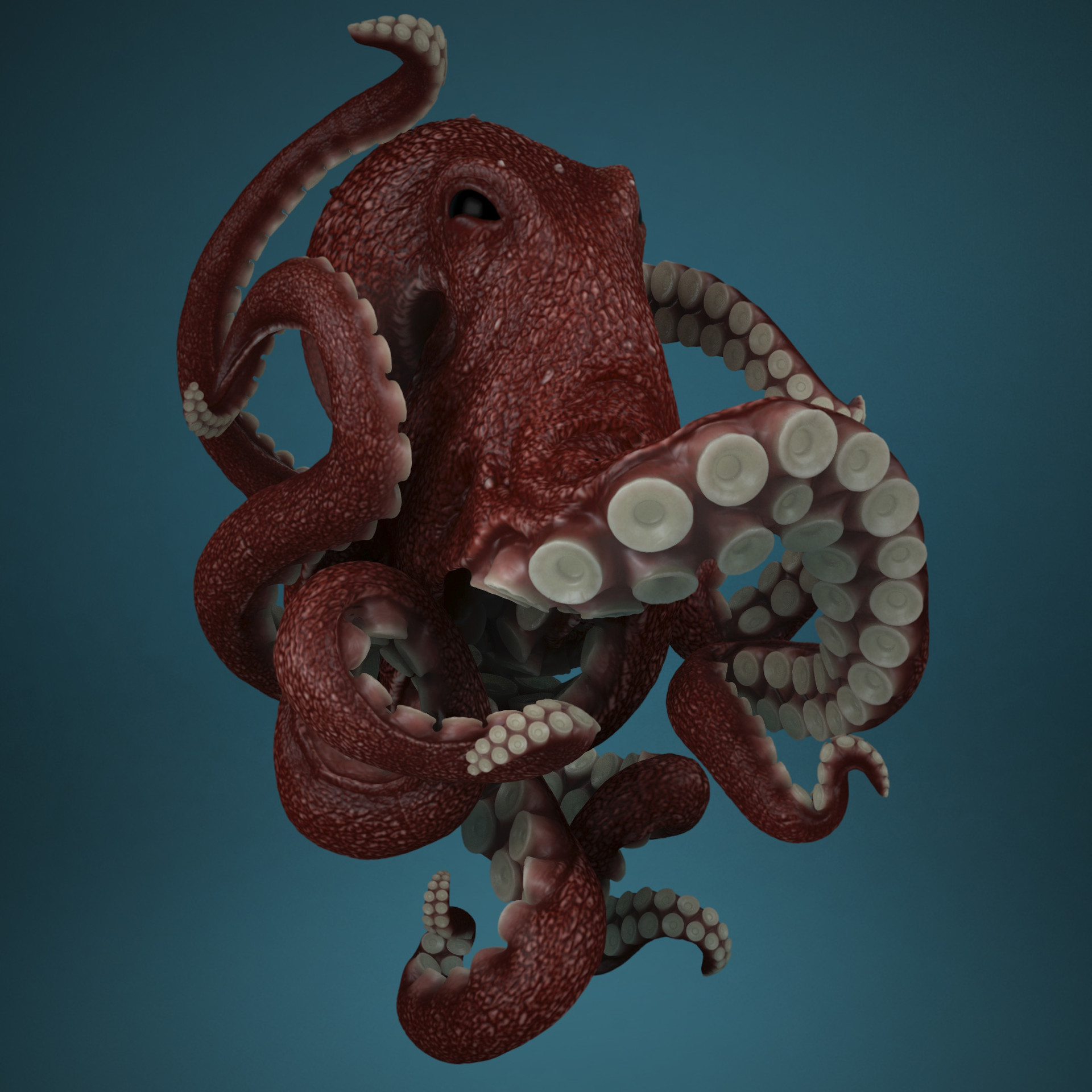 ArtStation - Octopus