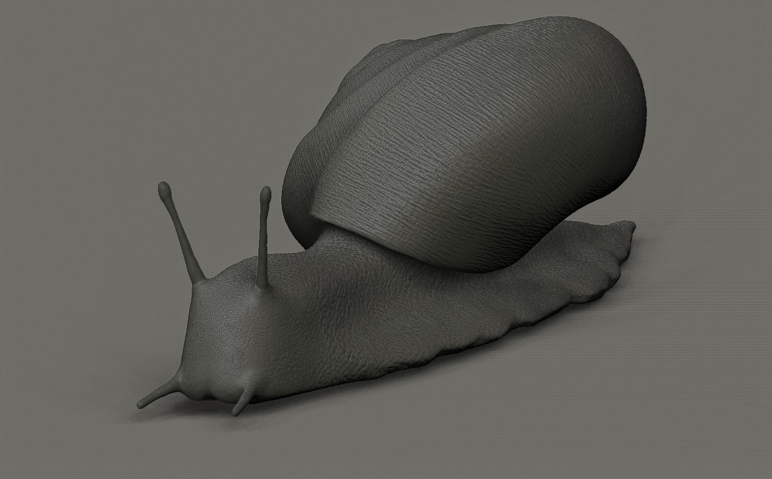 Will Concannon - Snail Project (WIP)