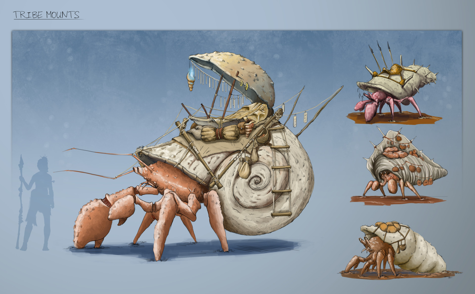 Kévin Ané - Sea Shell Tribe