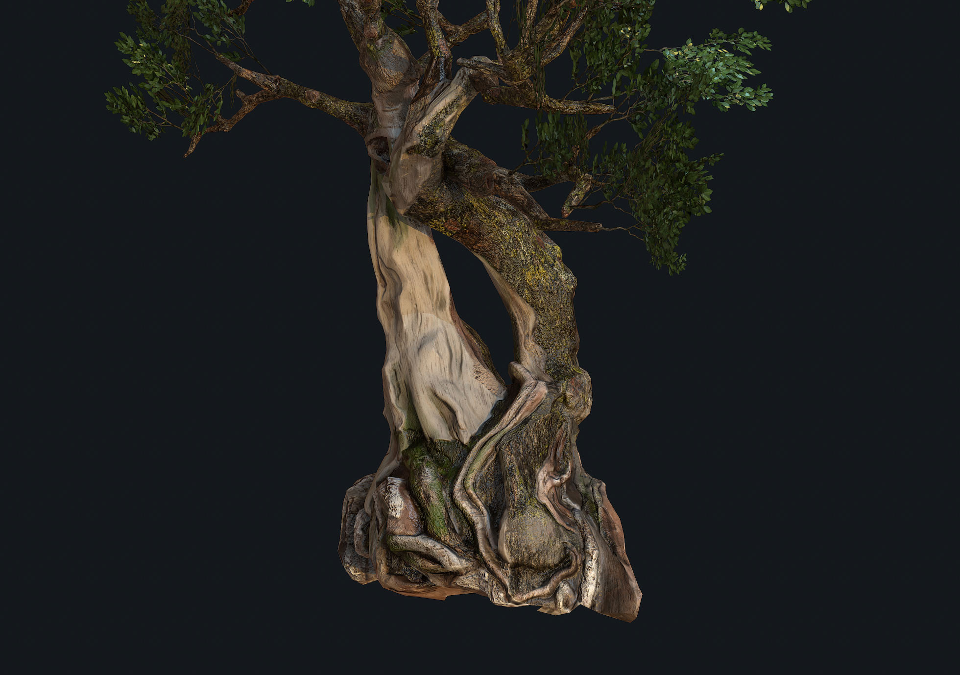 sarah wang - 3D Tree Prop