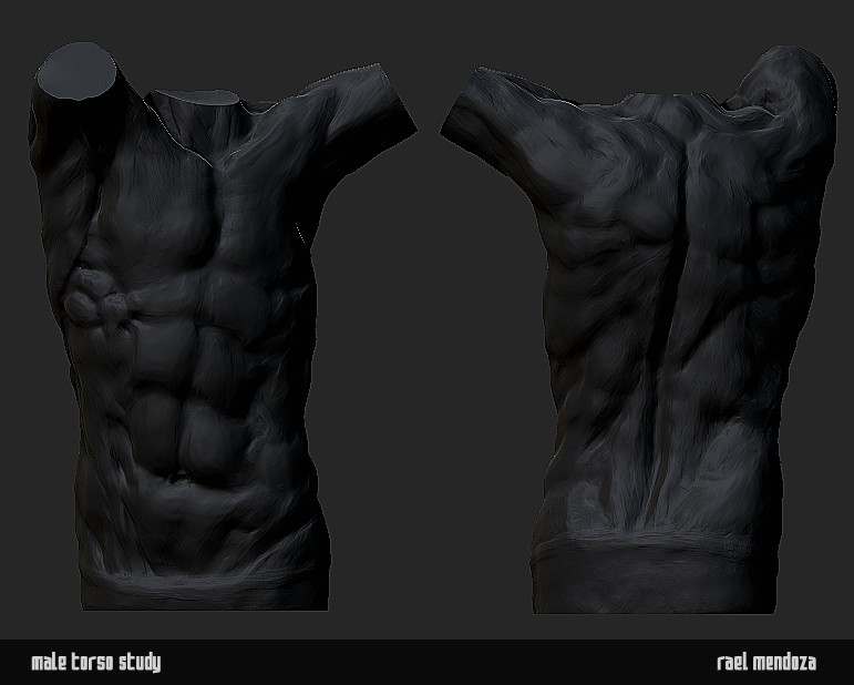 ArtStation - male torso study
