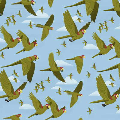 ArtStation - Parakeet Patter