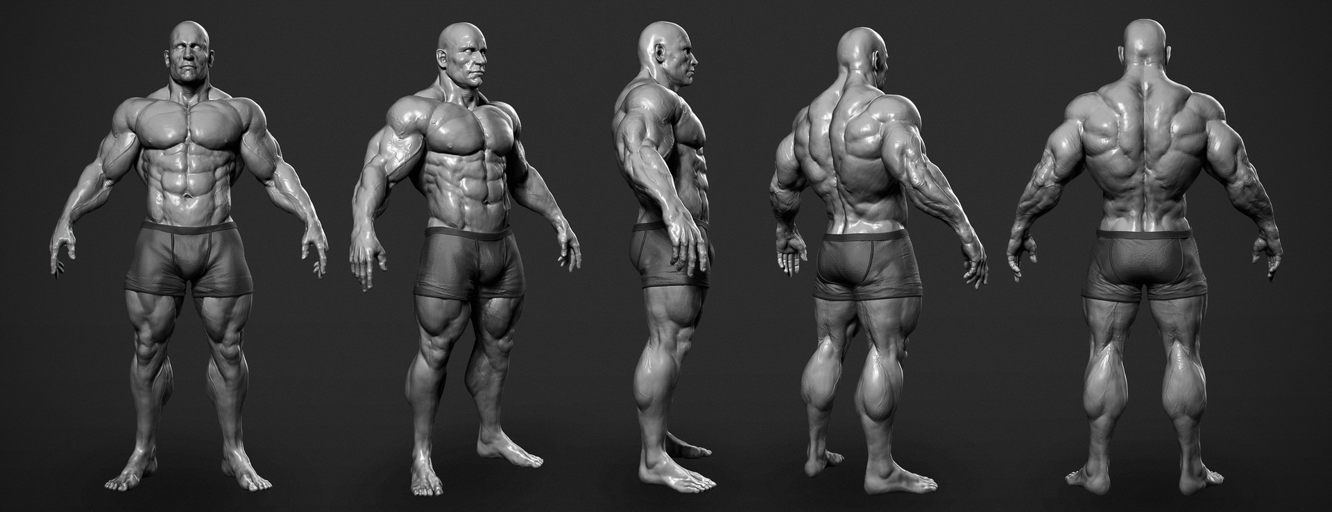 ArtStation - ANATOMY STUDIES