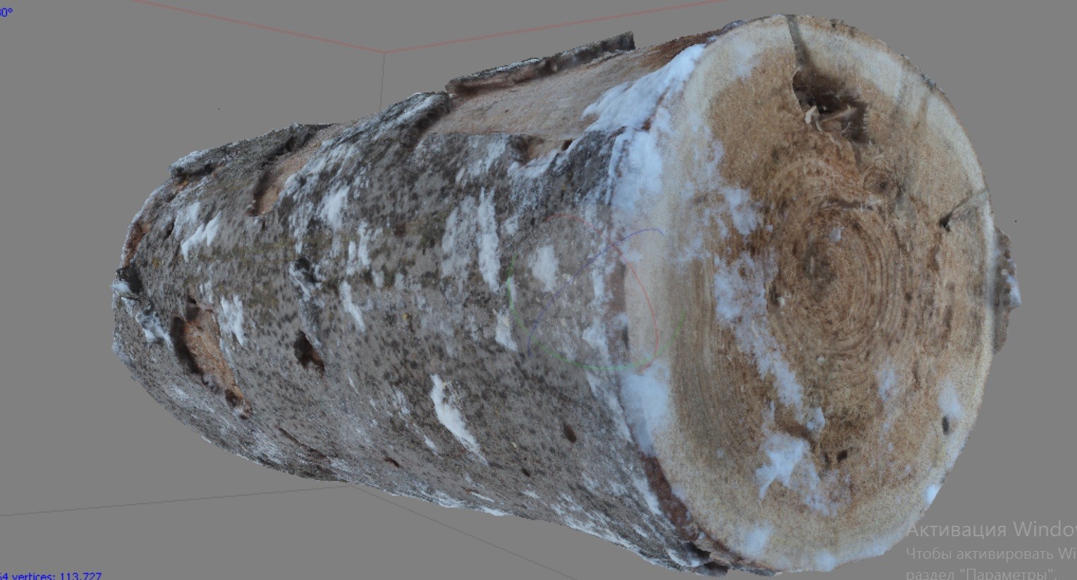 ArtStation - rotten log