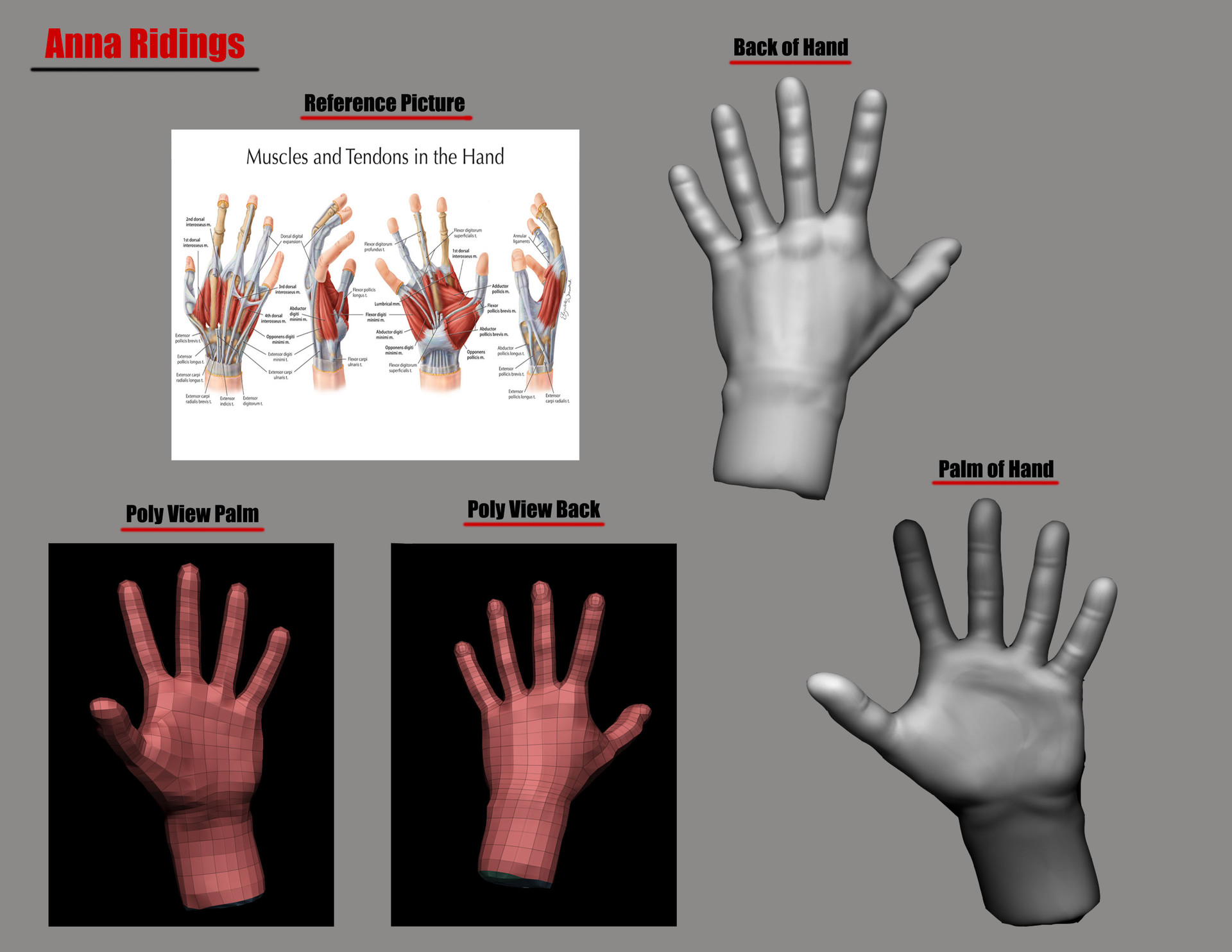 ArtStation - Hand Sculpt In Progress