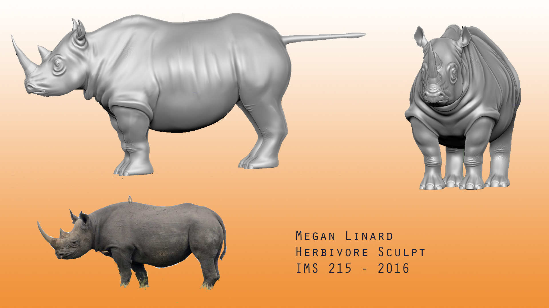 ArtStation - Herbivore Study