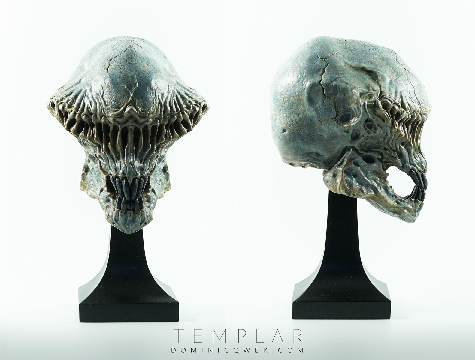 Dom Qwek - Alien Skulls