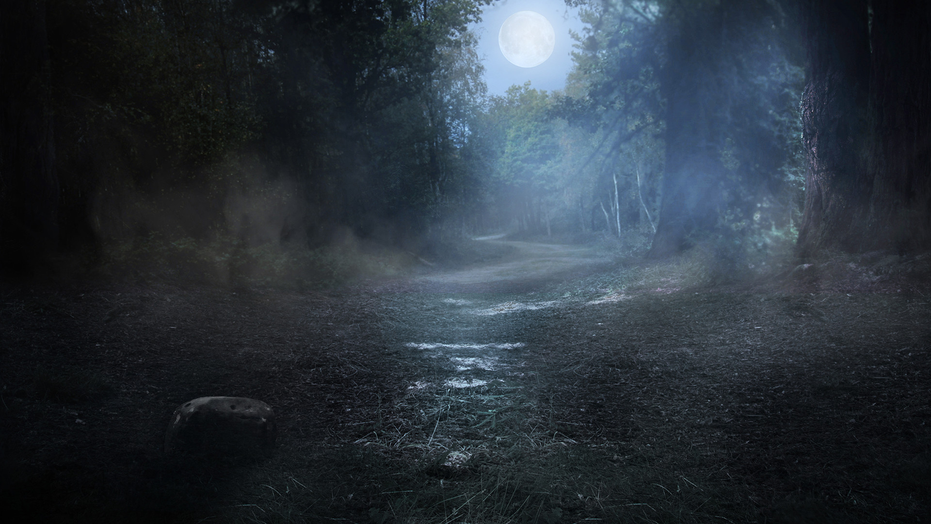 ArtStation - Spooky Forest Matte Painting